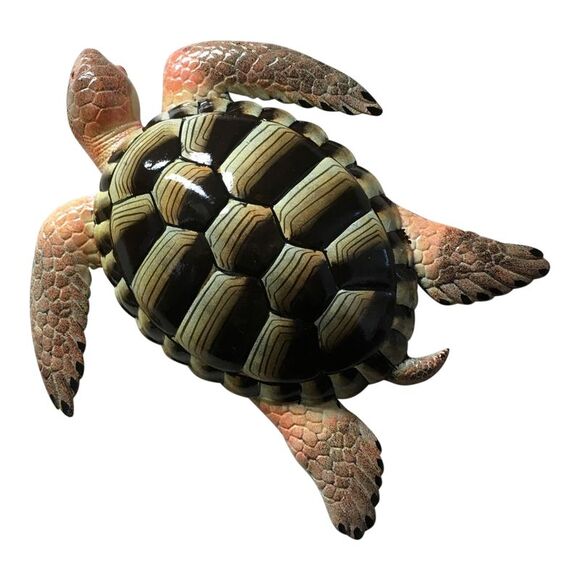 Charlotte International | Accents | 5 Inch Tropical Sea Turtle Beach ...